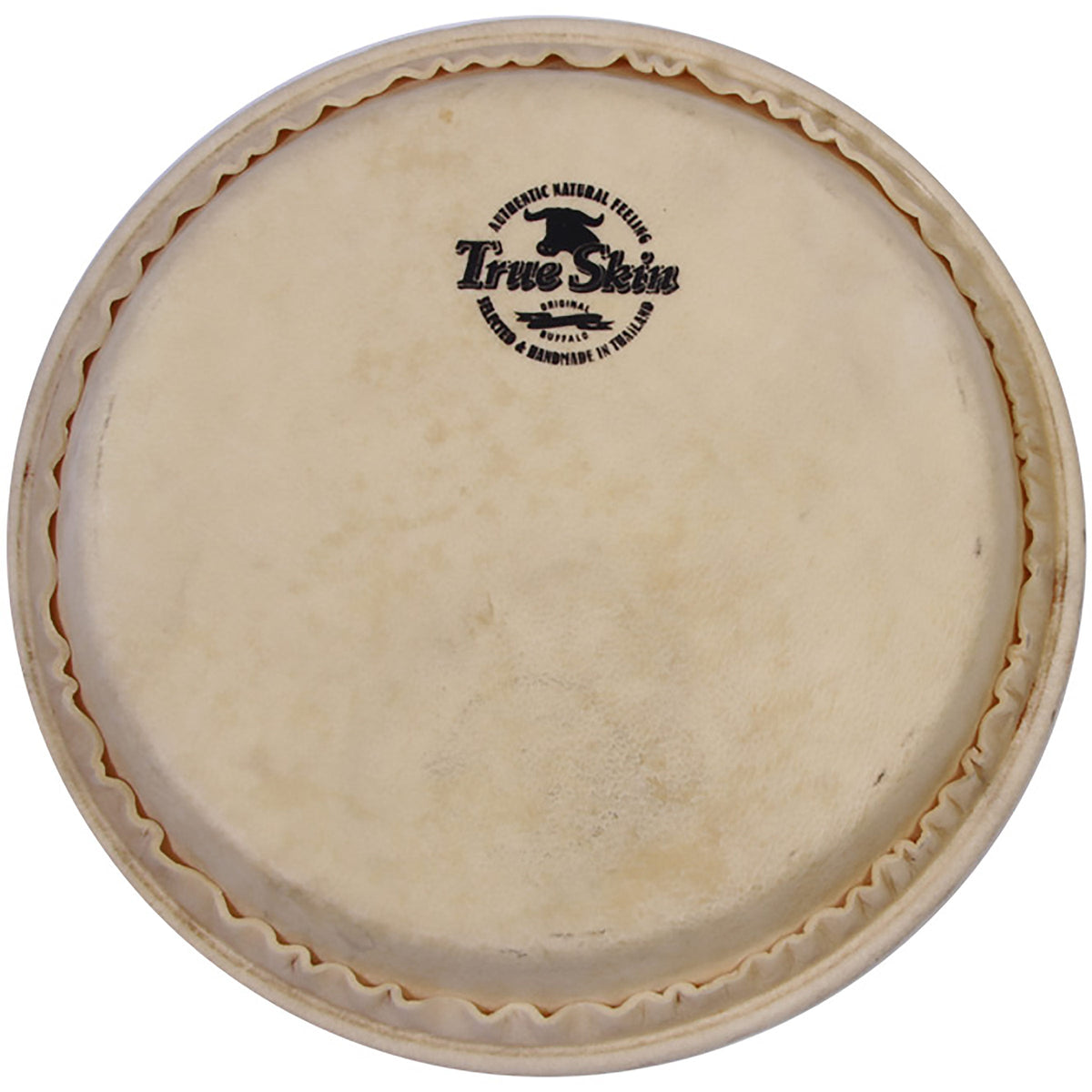 Meinl 11" True Skin Conga Head For Mongo Santamaria MSA11Quinto — Drum ...