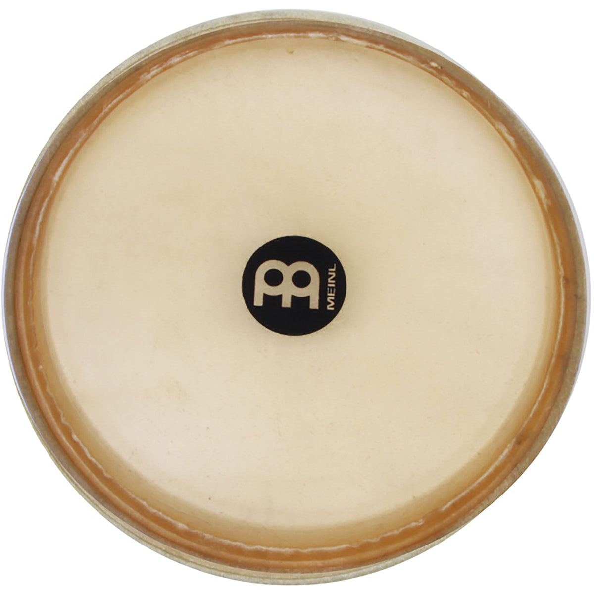 Meinl 11" True Skin Conga Head For Conga MP11 & FC11 - Recent Model ...